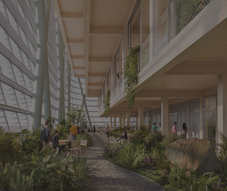 Unworking Insights: Organisations - Unwork